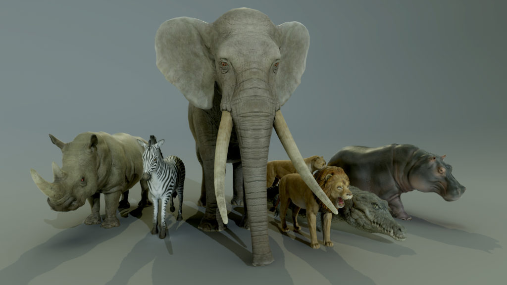 AFRICAN ANIMALS PACK – PROTOFACTOR