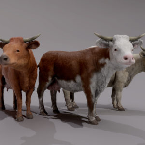 CHIMERA – PROTOFACTOR