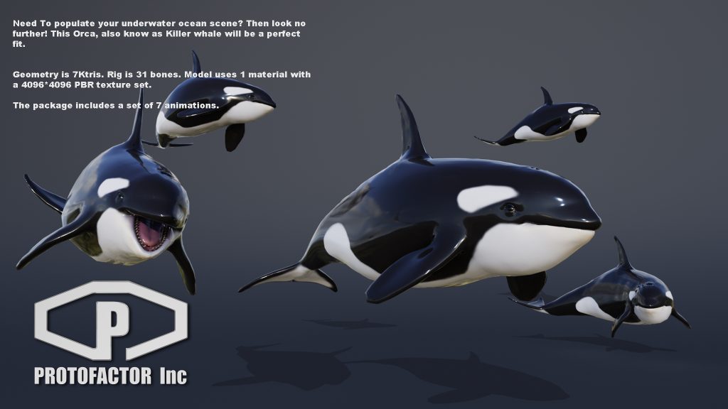 OCEAN ANIMALS PACK VOL 1 – PROTOFACTOR