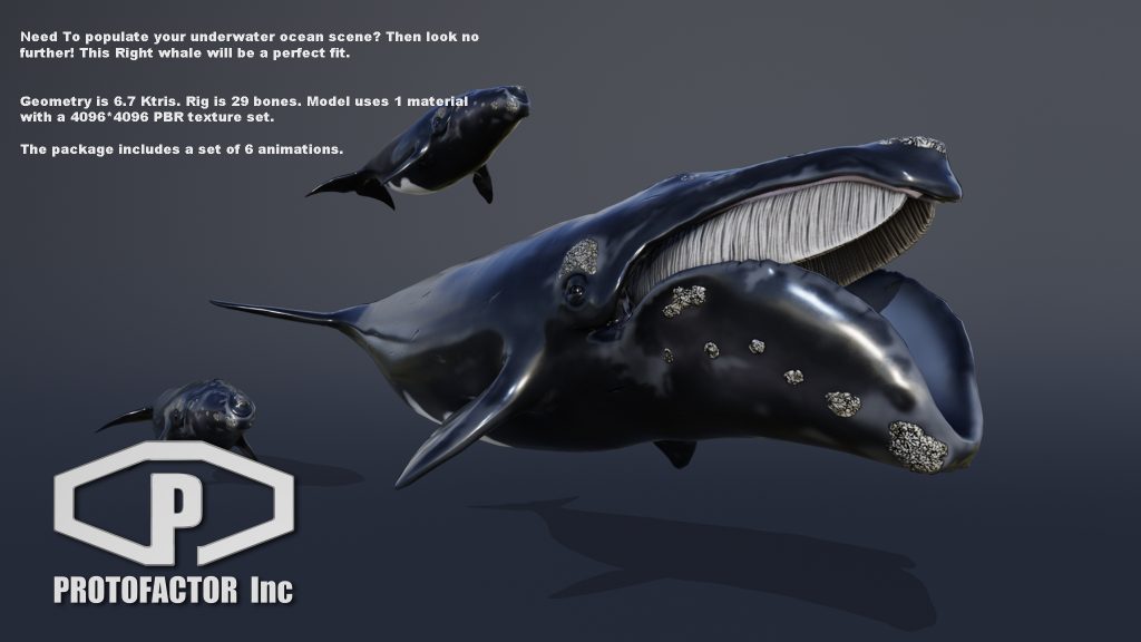 ANIMALS FULL PACK – PROTOFACTOR