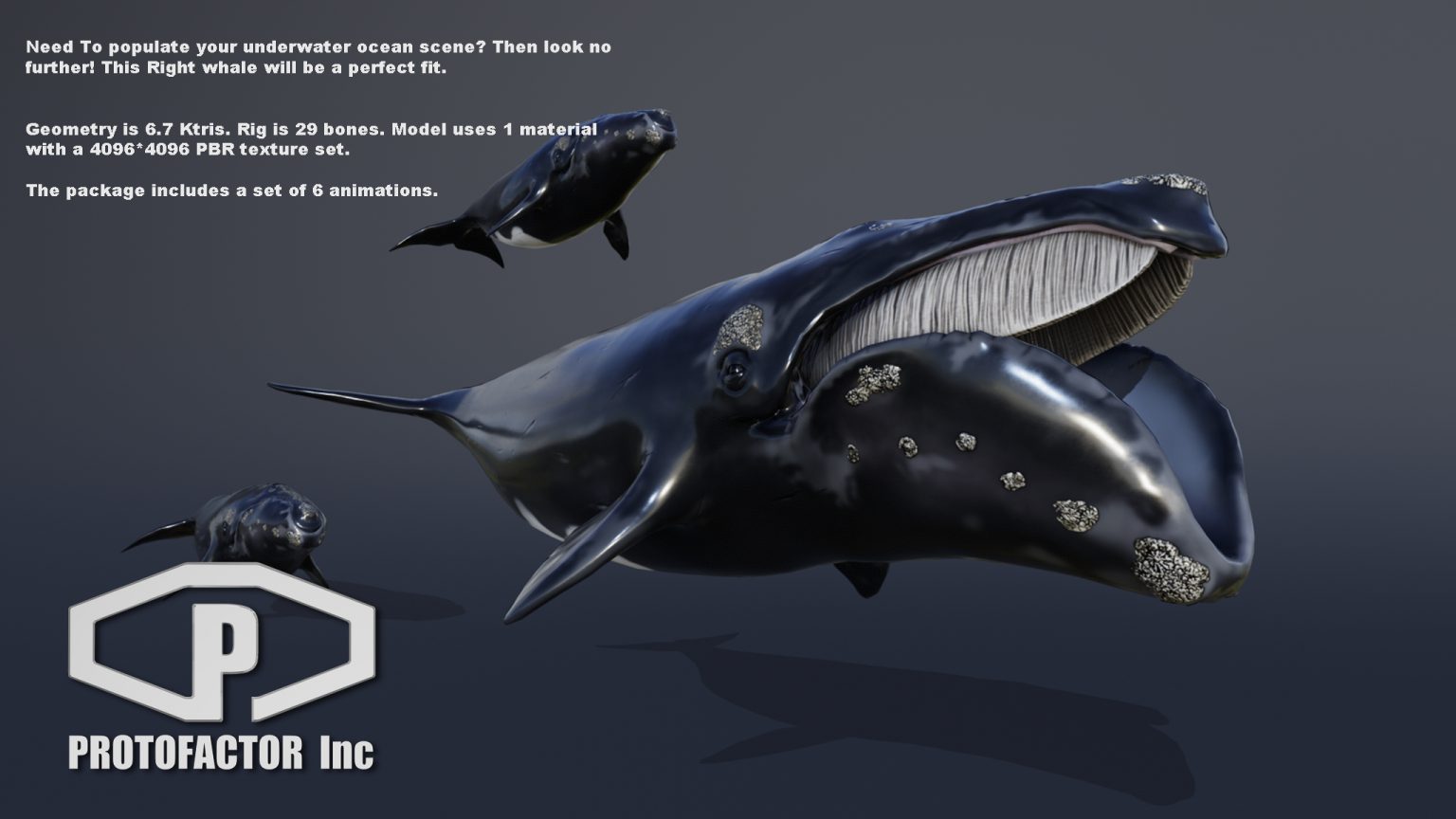 ANIMALS FULL PACK – PROTOFACTOR