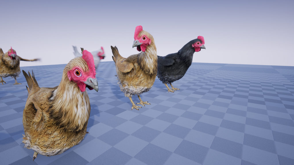 CHICKEN – PROTOFACTOR