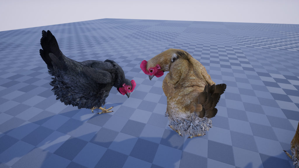 CHICKEN – PROTOFACTOR