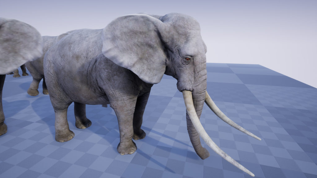 ELEPHANT – PROTOFACTOR