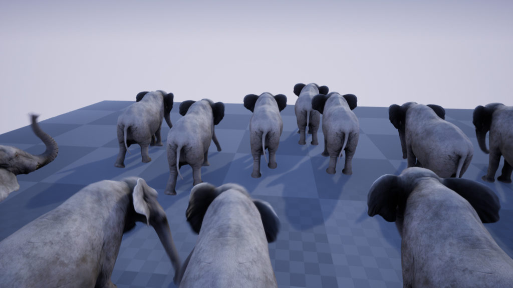 ELEPHANT – PROTOFACTOR