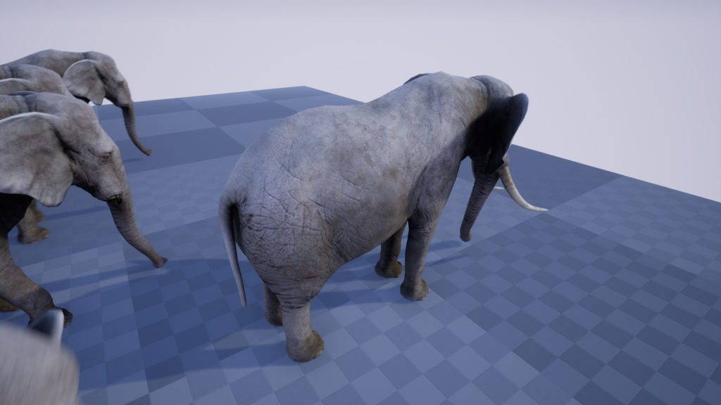 ELEPHANT – PROTOFACTOR