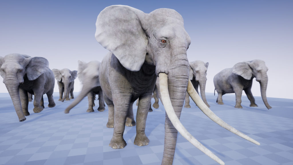 ELEPHANT – PROTOFACTOR