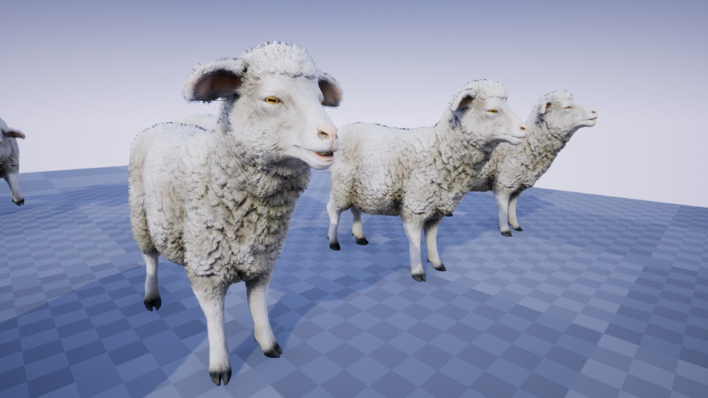 SHEEP – PROTOFACTOR