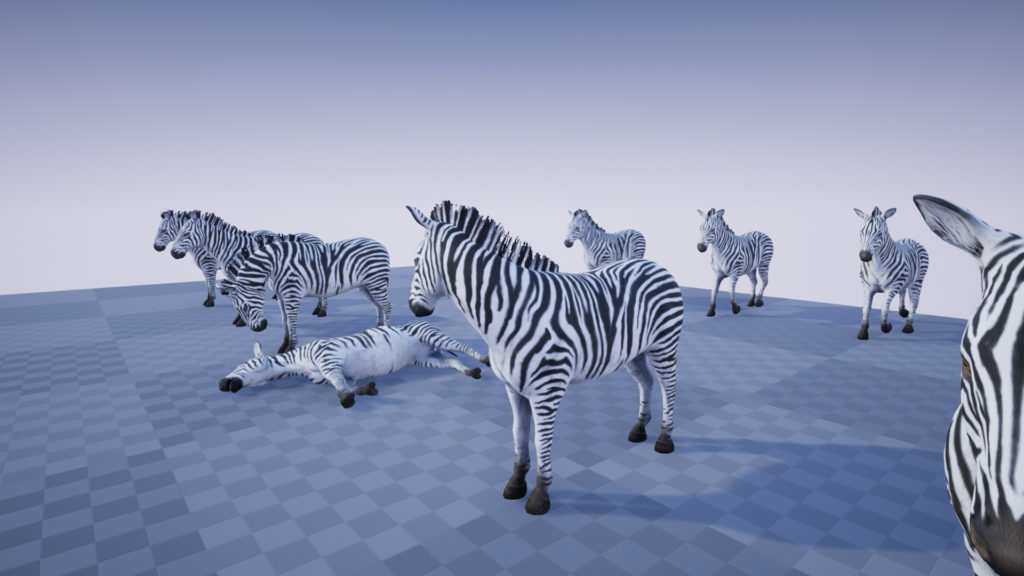 ZEBRA – PROTOFACTOR