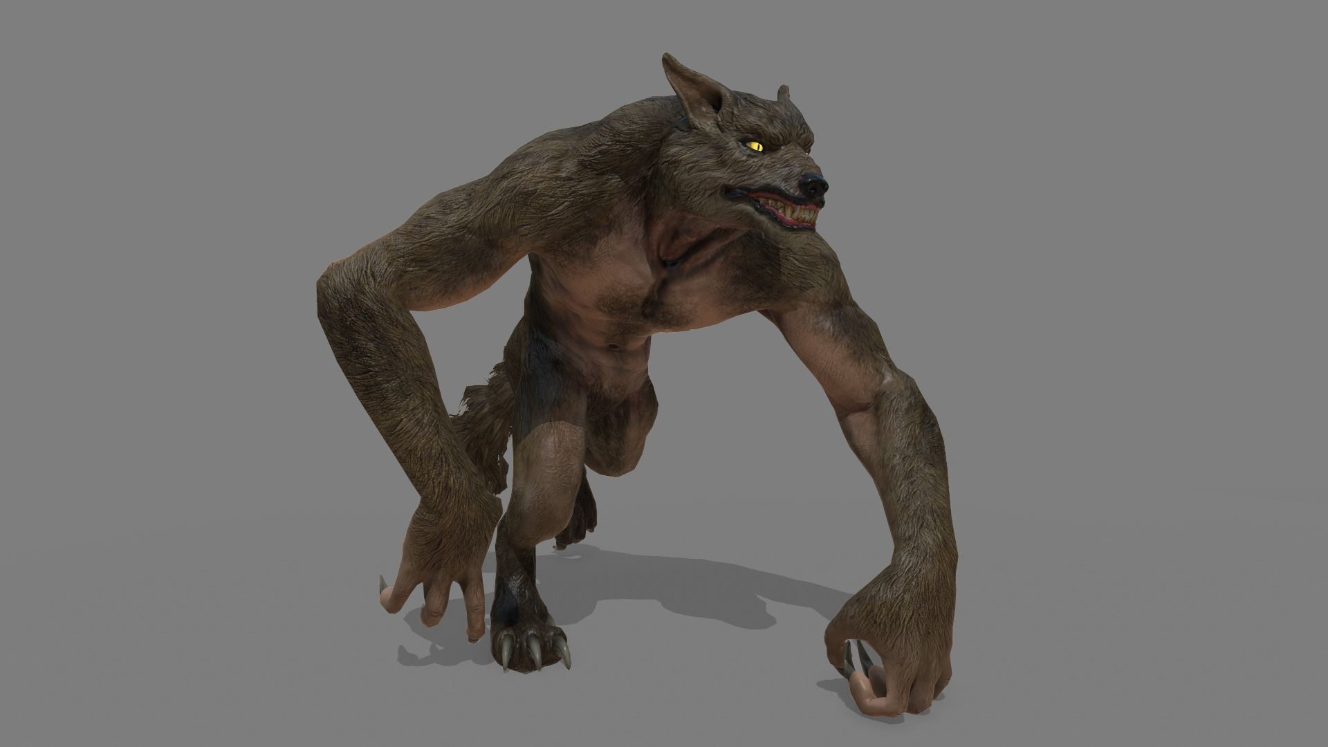 WEREWOLF – PROTOFACTOR