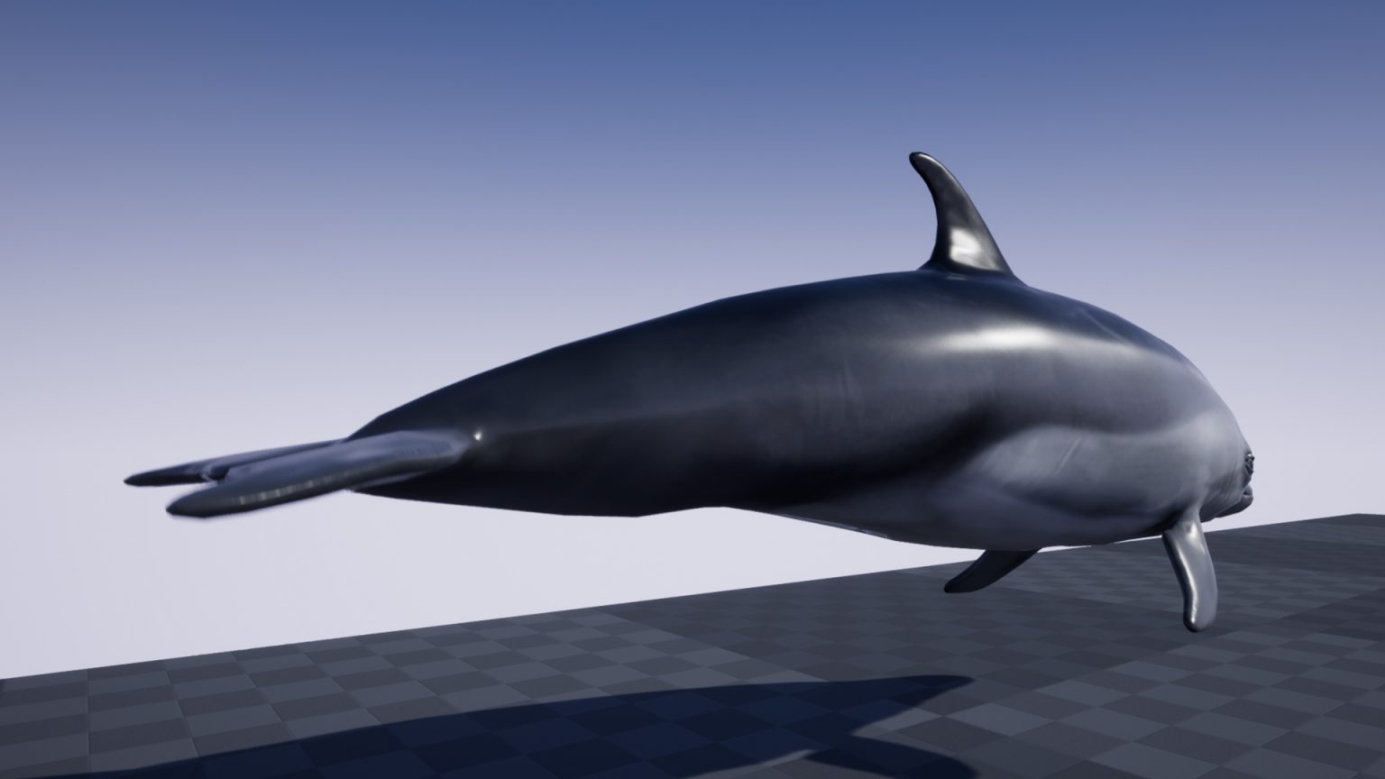 DOLPHIN – PROTOFACTOR