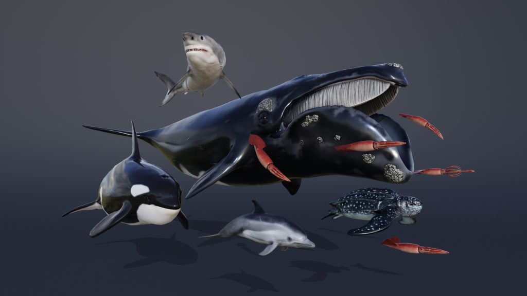 OCEAN ANIMALS PACK VOL 1 – PROTOFACTOR